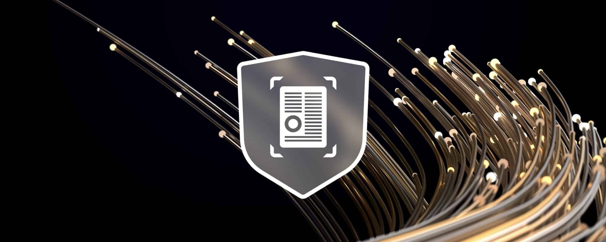 Safeguarding your workflows with data protection - Scanbot SDK